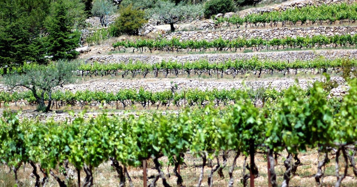 Carte des appellations – Vins de provence