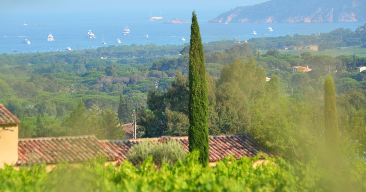 Carte des appellations – Vins de provence