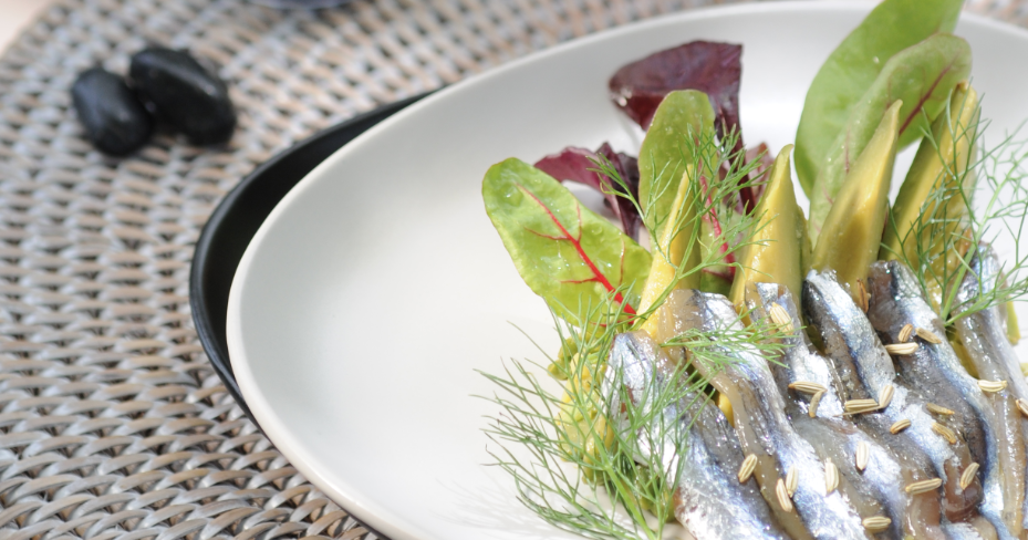 Filets d’anchois frais aux avocats – Vins de provence